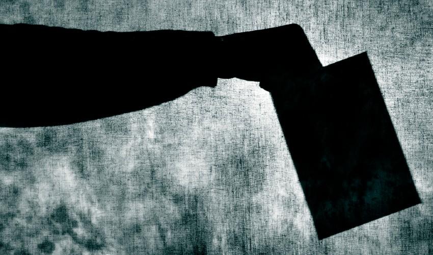 Why We Can Better Control Politicians in a Bipolar Party System ...