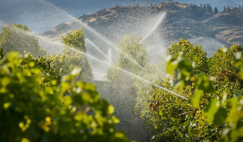 A Simple yet Powerful Model for Irrigation Water Consumption | Bocconi ...