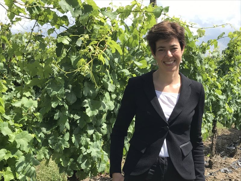 Promoting and Protecting Oltrepo' Wines - Bocconi University